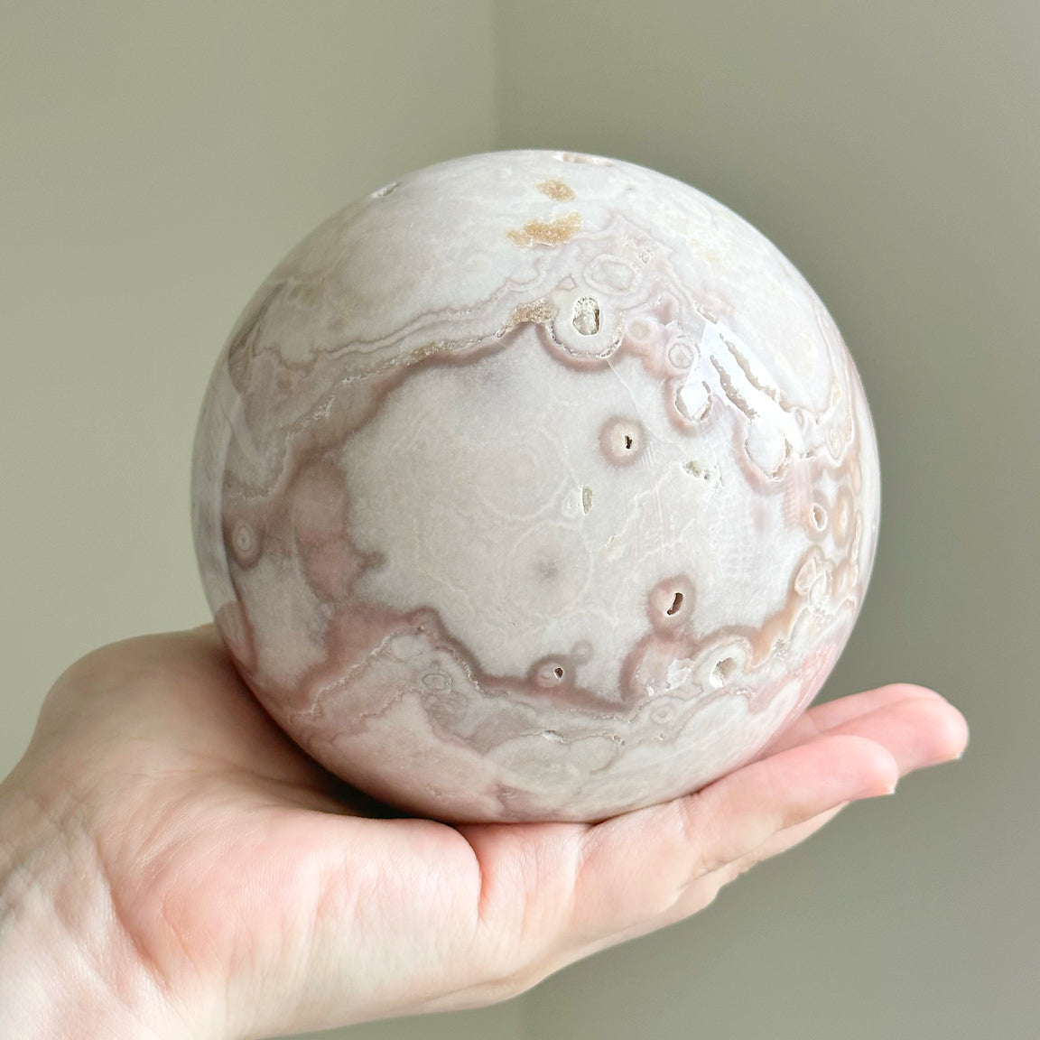 What's Available — Page 5 — Shimmer & Light